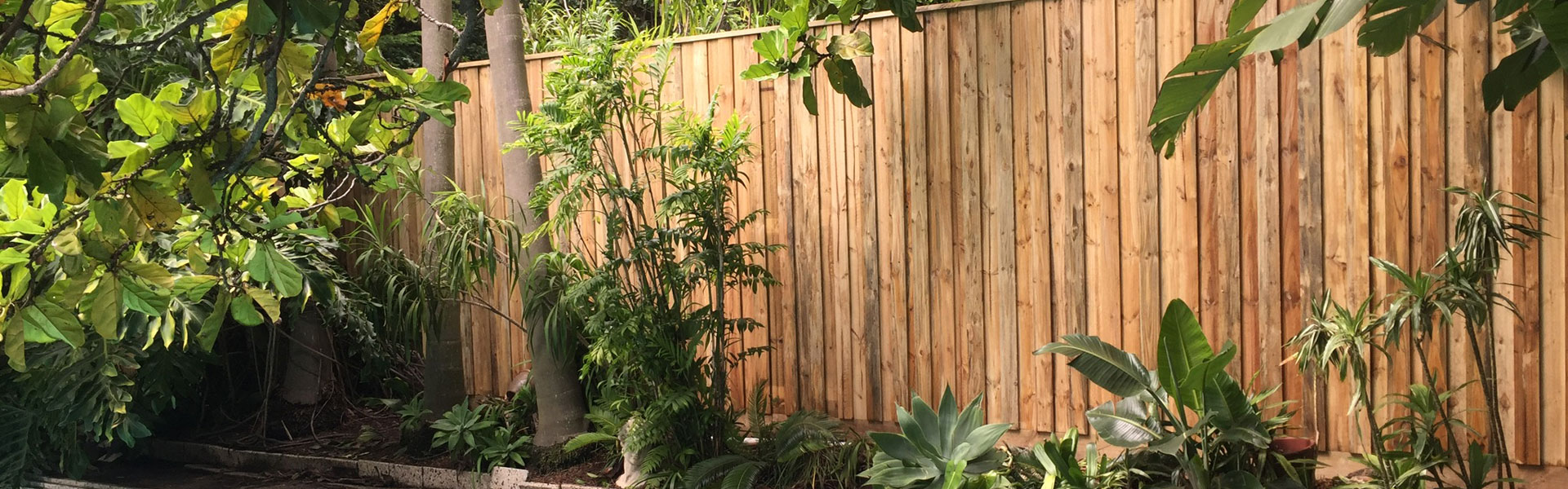 Timber Paling Fences | Natural Fencing